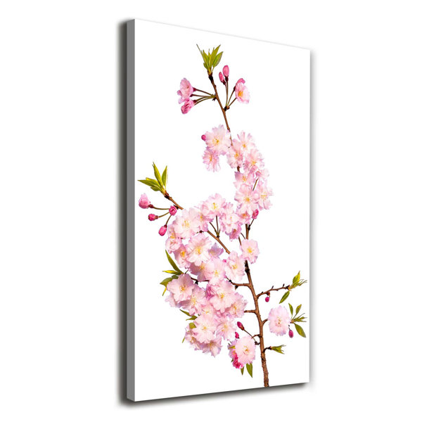 ClassicLiving Kirschblüten - Kunstdrucke auf Leinwand - Wrapped Canvas | Wayfair.de